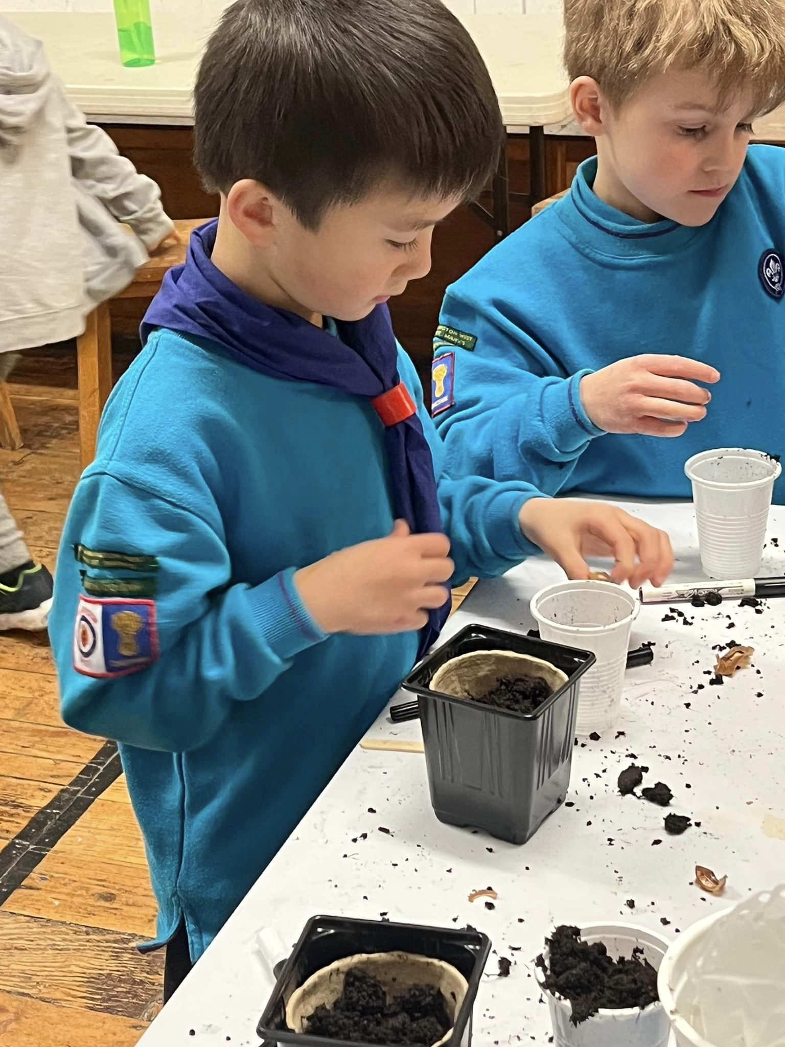 March 2023 - Beavers - Planting sunflowers | 10th Warrington Scouts